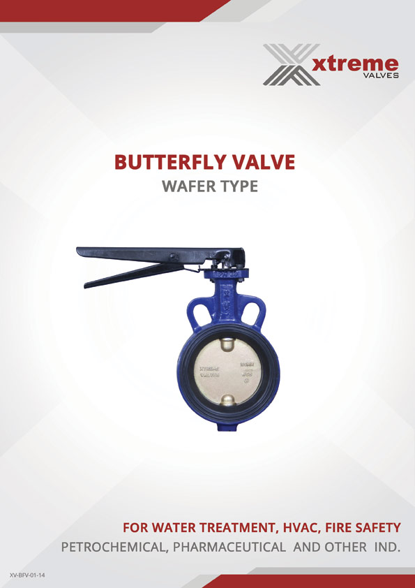 Actual Soft Solutions | Xtreme Valves
